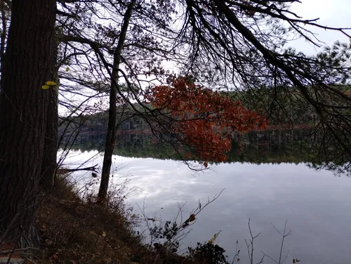 2023 Best River Trails in Tully Lake Recreation Area | AllTrails