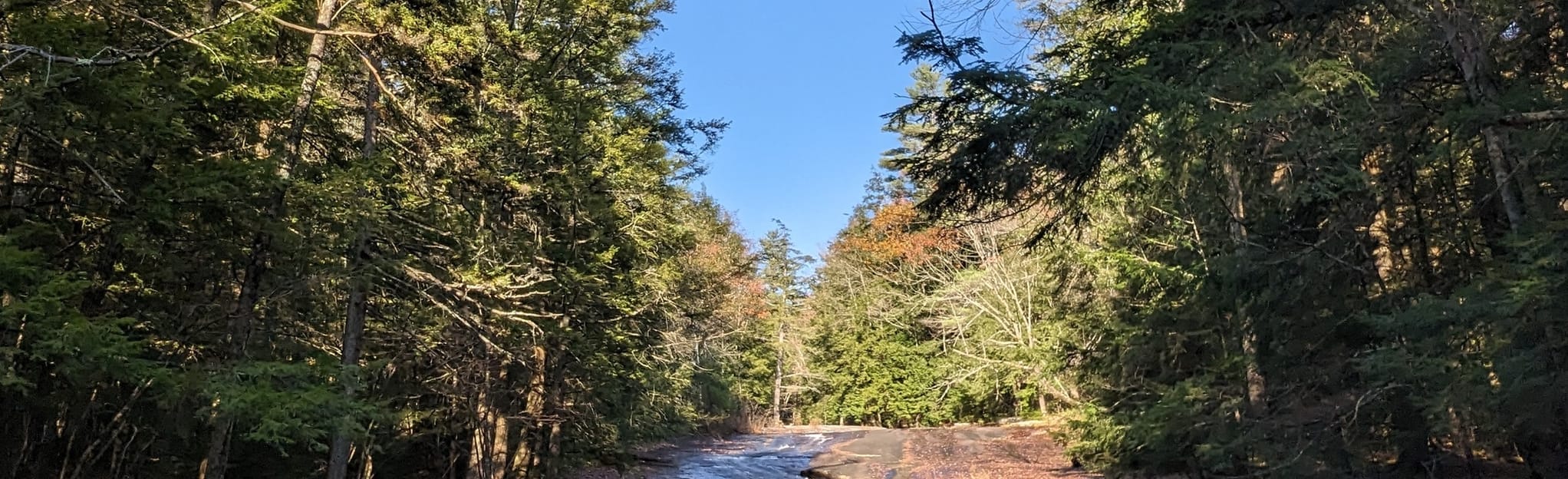 Buttermilk Brook - Bear Slides, New York - 228 Reviews, Map | AllTrails