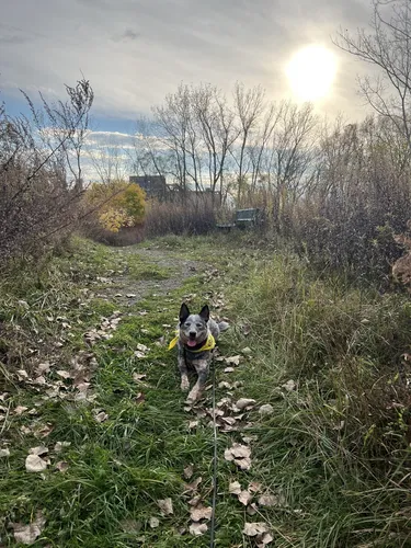 Best Hikes and Trails in Red Jacket Riverfront Park | AllTrails