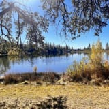 Finnon Reservoir Loop, California - 71 Reviews, Map | AllTrails