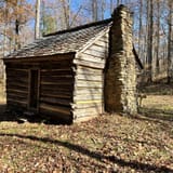 Maddron Bald Trail to Albright Grove Loop, Tennessee - 943 Reviews, Map ...