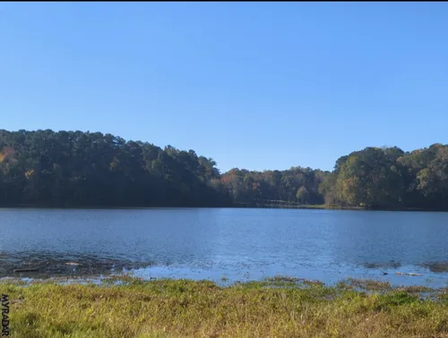 Best Hikes and Trails in Lake Benson Park | AllTrails