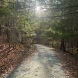 Saunders-Monticello Trail, Virginia - 1,500 Reviews, Map | AllTrails