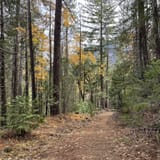 Artist Point Trail, California - 922 Reviews, Map | AllTrails