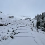Skyline Loop, Washington - 14,768 Reviews, Map | AllTrails