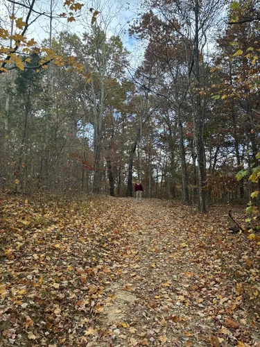 Best Hikes and Trails in Monteagle | AllTrails
