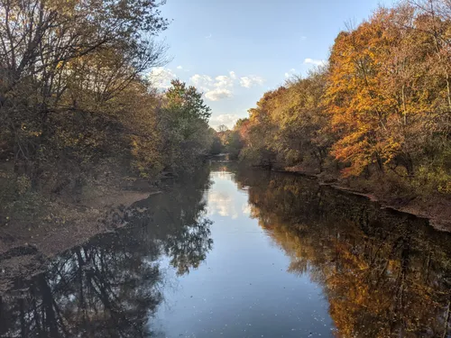 10 Best Forest Trails in Boston | AllTrails