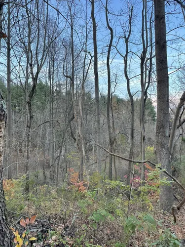 Best Hikes and Trails in Ashland Nature Center | AllTrails