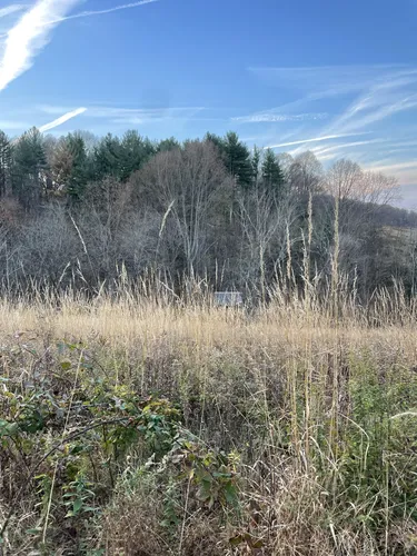 Best Hikes and Trails in Ashland Nature Center | AllTrails