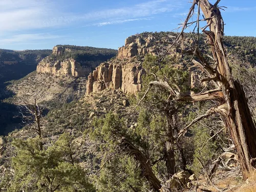 10 Best Trails and Hikes in Mancos | AllTrails