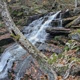Falls Brook Falls, Connecticut - 320 Reviews, Map | AllTrails