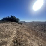 Poly Canyon Loop Trail, California - 533 Reviews, Map | AllTrails
