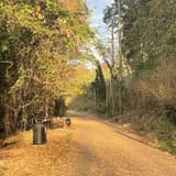 Vulcan Trail, Alabama - 637 Reviews, Map | AllTrails