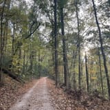 Vulcan Trail, Alabama - 637 Reviews, Map | AllTrails