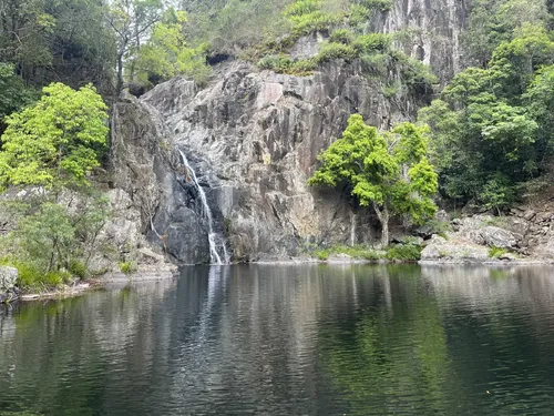 10 Best Hikes and Trails in Paluma Range National Park | AllTrails