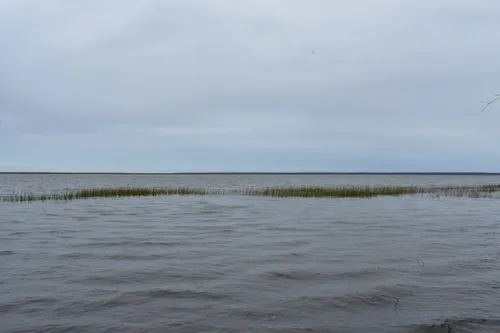 Best Hikes and Trails in Harris Neck National Wildlife Refuge | AllTrails