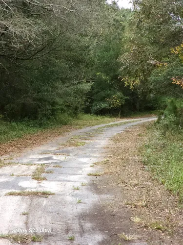 Best Hikes and Trails in Harris Neck National Wildlife Refuge | AllTrails