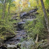Hidden Falls Trail, South Carolina - 690 Reviews, Map | AllTrails