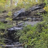 Hidden Falls Trail, South Carolina - 690 Reviews, Map | AllTrails