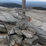 Mount Cardigan Loop Trail, New Hampshire - 1,907 Reviews, Map | AllTrails