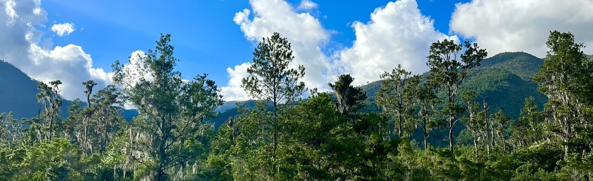 Sendero al Valle del Tetero: 45 fotos - La Vega, República Dominicana ...