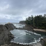 Cape Arago Loop Trail, Oregon - 278 Reviews, Map | AllTrails