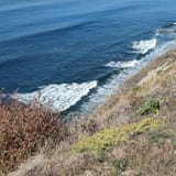 Malaga Lunada Vista Loop, California - 392 Reviews, Map | AllTrails