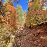 See Spring Trail, Arizona - 641 Reviews, Map | AllTrails