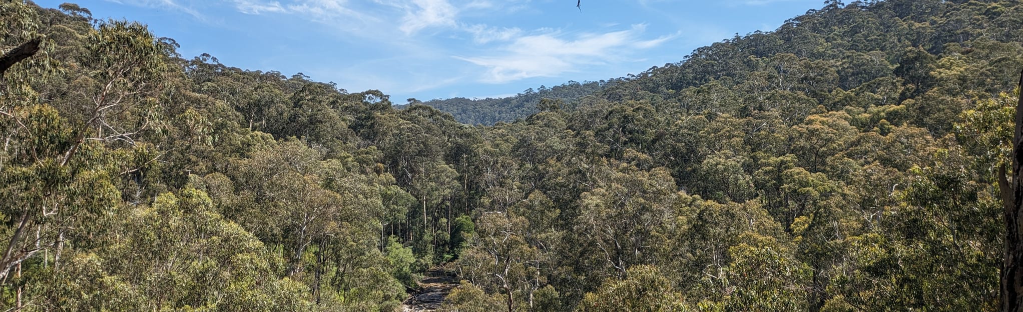 Phantom Falls, Victoria, Australia - 154 Reviews, Map | AllTrails