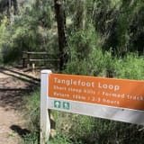 Tanglefoot Short Loop, Victoria, Australia - 327 Reviews, Map | AllTrails