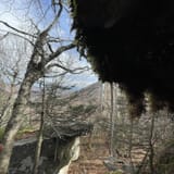 Devil's Path to the Jimmy Dolan Notch Overlook and Twin Mountain Summit ...