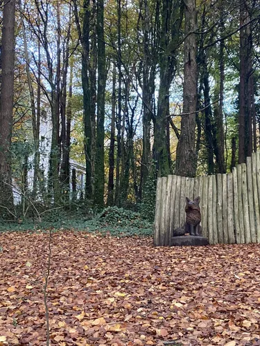 Best Forest Trails in Partry | AllTrails