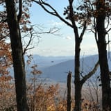 Moxham Mountain Trail, New York - 1,349 Reviews, Map | AllTrails