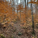 Moxham Mountain Trail, New York - 1,349 Reviews, Map | AllTrails