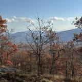 Moxham Mountain Trail, New York - 1,349 Reviews, Map | AllTrails