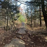 Moxham Mountain Trail, New York - 1,349 Reviews, Map | AllTrails