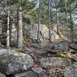 Moxham Mountain Trail, New York - 1,349 Reviews, Map | AllTrails