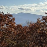 Moxham Mountain Trail, New York - 1,349 Reviews, Map | AllTrails
