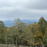 Fitton Green Natural Area Trail, Oregon - 381 Reviews, Map | AllTrails