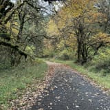 Fitton Green Natural Area Trail, Oregon - 381 Reviews, Map | AllTrails