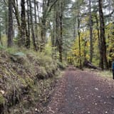 Fitton Green Natural Area Trail, Oregon - 385 Reviews, Map | AllTrails