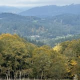 Fitton Green Natural Area Trail, Oregon - 381 Reviews, Map | AllTrails