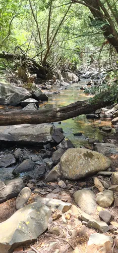 Best Hikes and Trails in Wathaba Hiking Trails | AllTrails