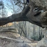 Princess Arch Trail [CLOSED], Kentucky - 1,135 Reviews, Map | AllTrails