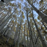 Inner Basin Trail, Arizona - 865 Reviews, Map | AllTrails