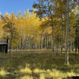 Inner Basin Trail, Arizona - 865 Reviews, Map | AllTrails