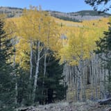 Inner Basin Trail, Arizona - 865 Reviews, Map | AllTrails