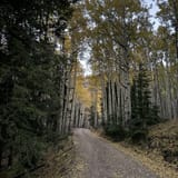 Inner Basin Trail, Arizona - 865 Reviews, Map | AllTrails