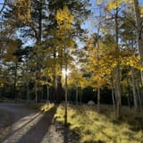 Inner Basin Trail, Arizona - 865 Reviews, Map | AllTrails