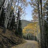 Inner Basin Trail, Arizona - 865 Reviews, Map | AllTrails